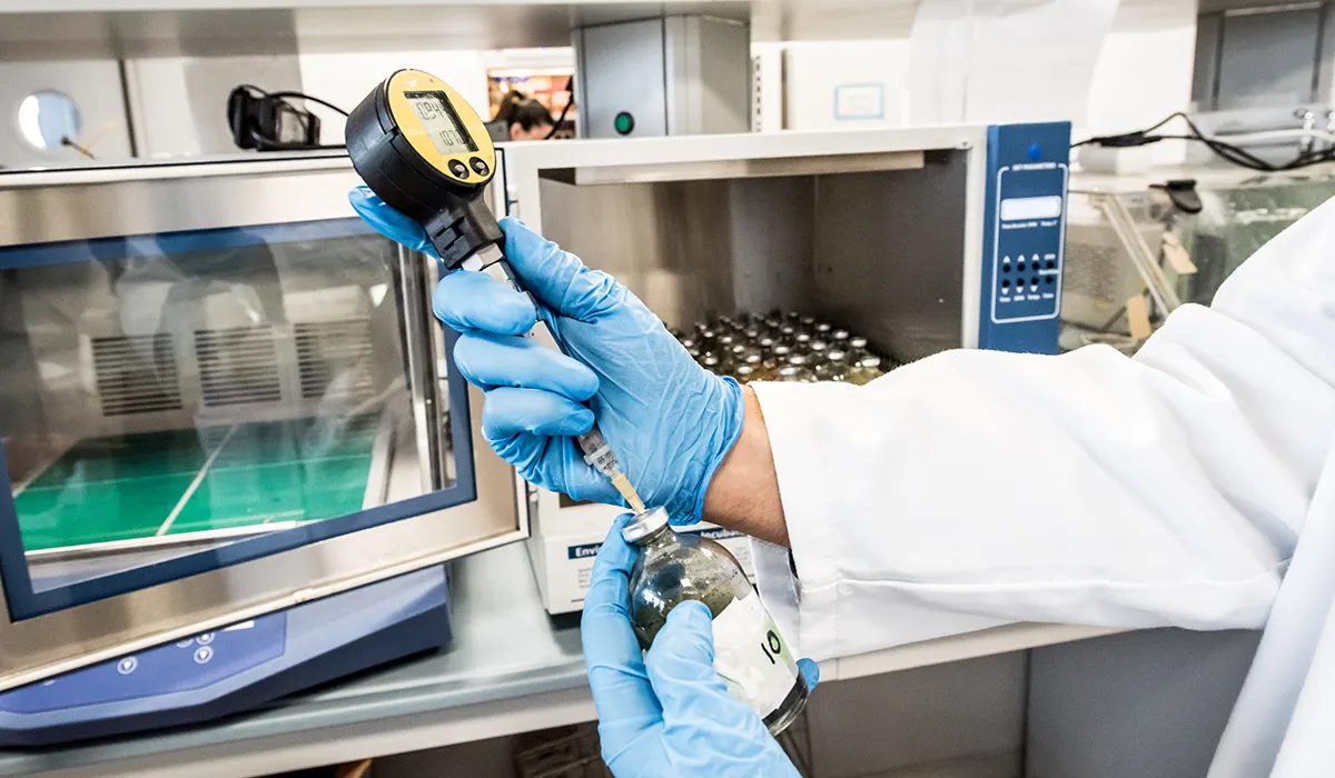 [CLOSED] CALL FOR APPLICANTS: 12 PhD positions for the development of ...