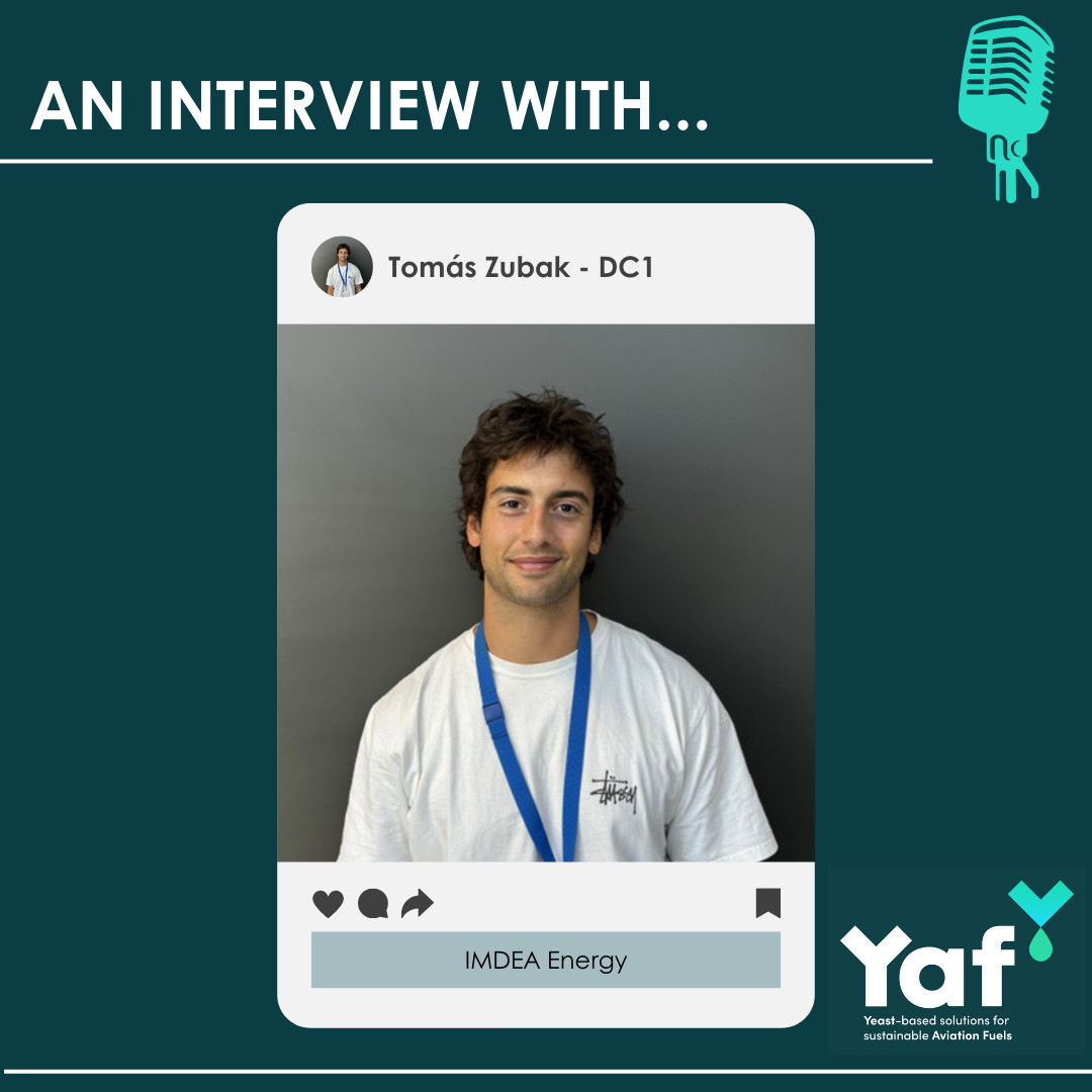 An interview with...Tomás Zubak - Doctoral Candidate 1 (IMDEA Energy ...